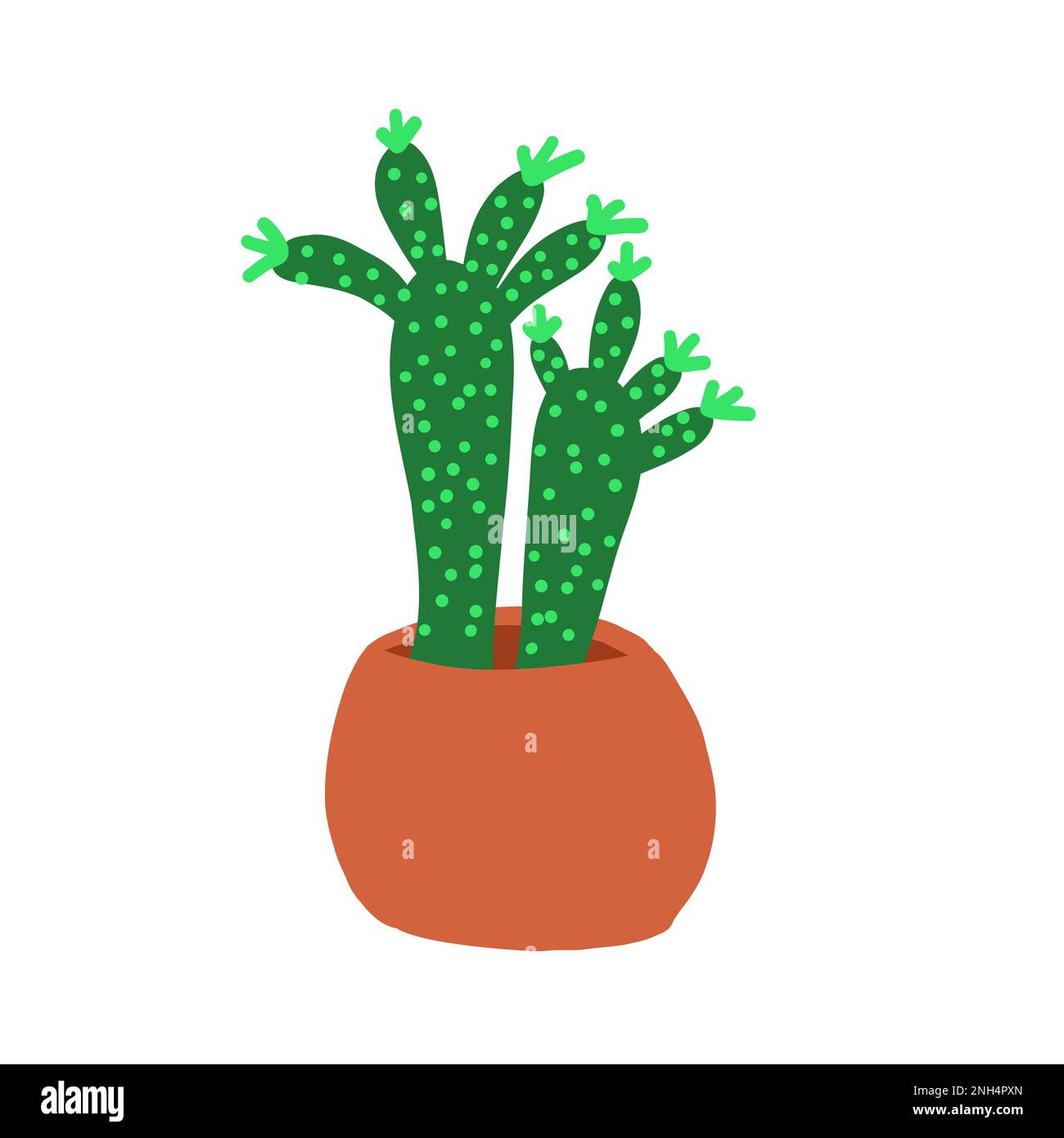 Cartoon cactus. Vector illustration in flat style isolated on white ...