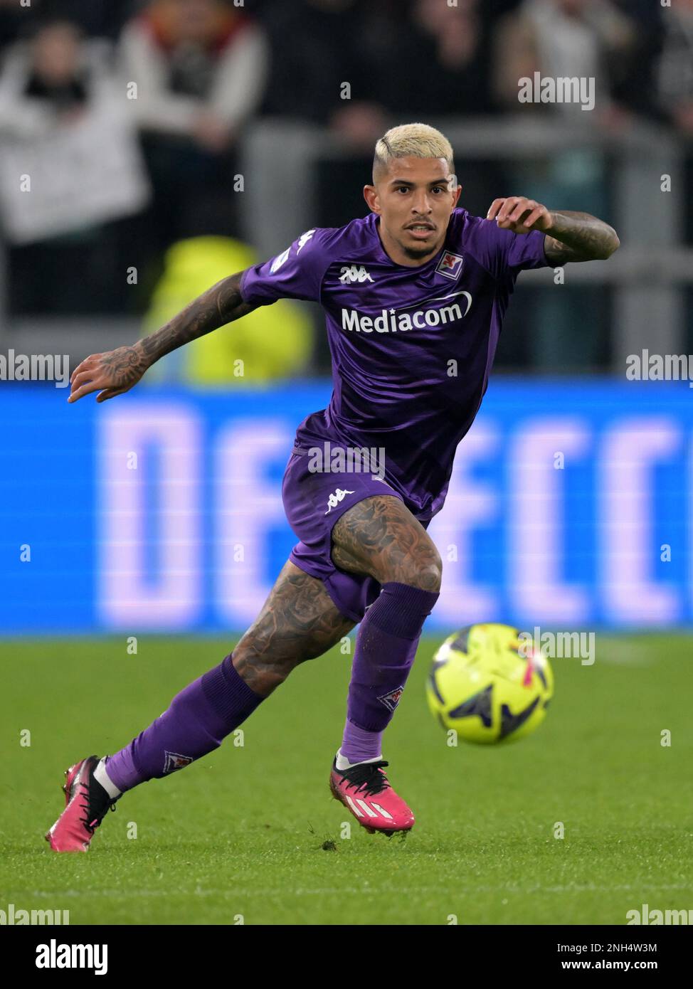 Juventus dodo hi-res stock photography and images - Alamy