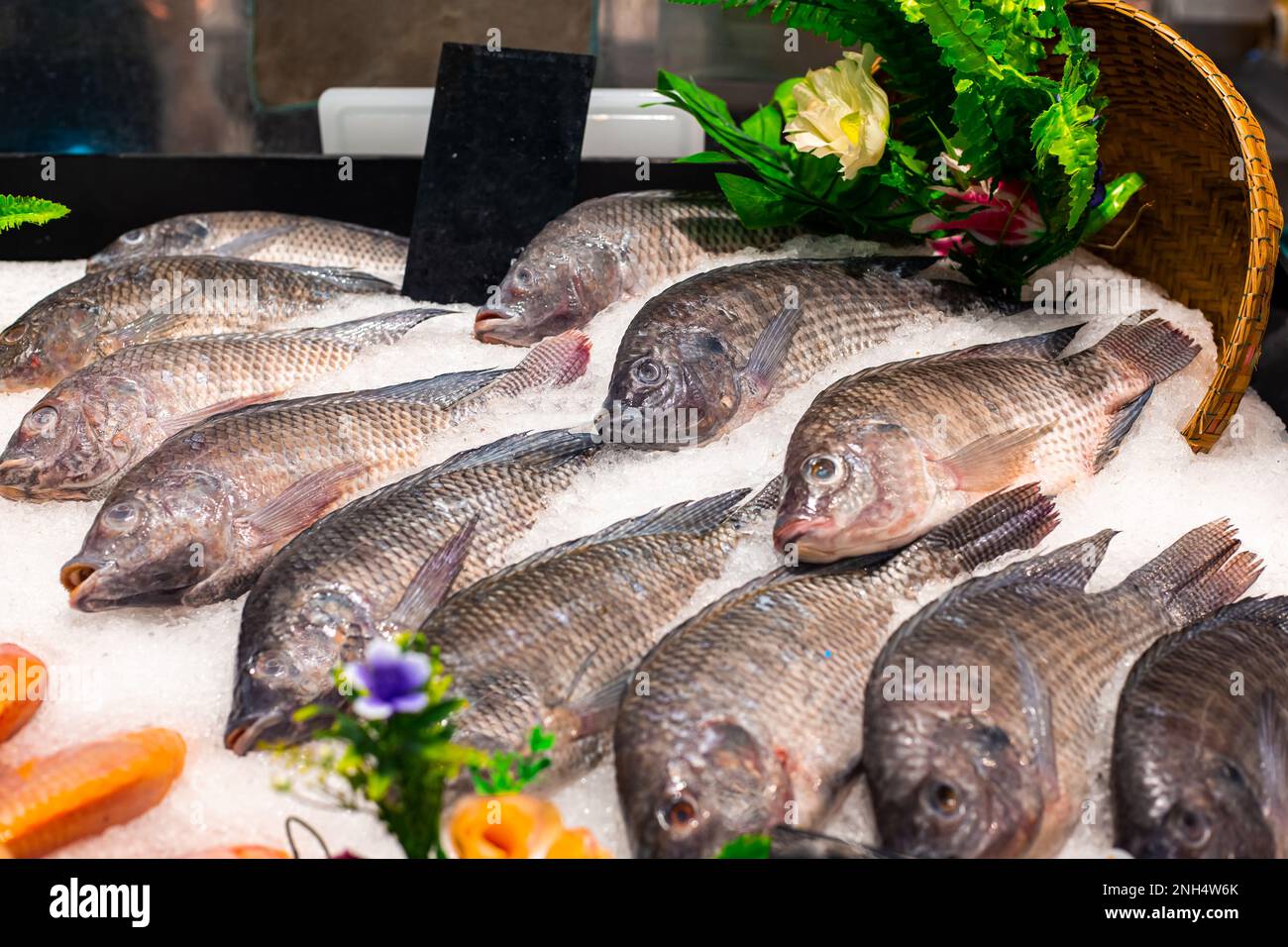 Fresh raw tilapia fish on ice in a shopping tray on the counter ...