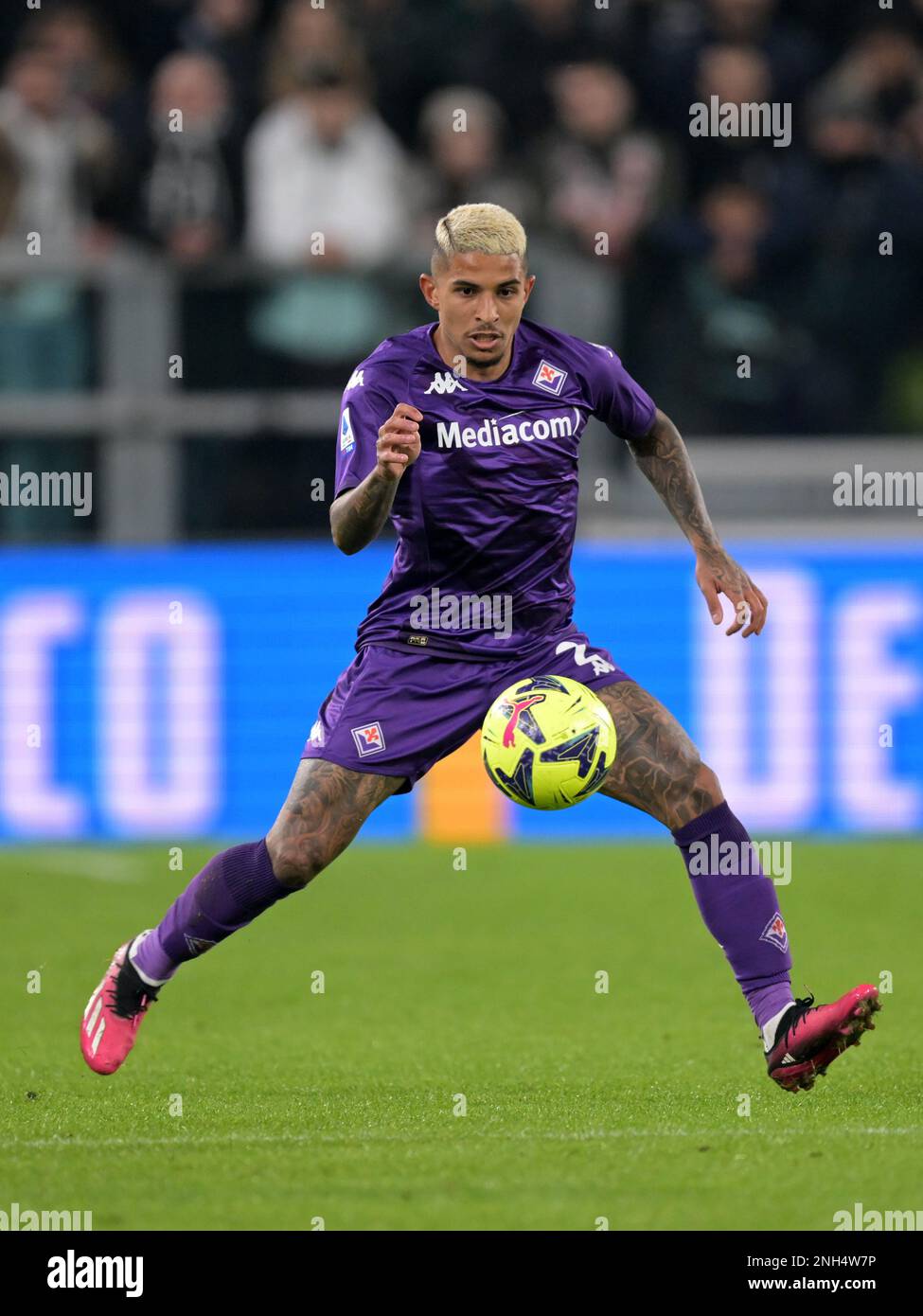 Juventus dodo hi-res stock photography and images - Alamy