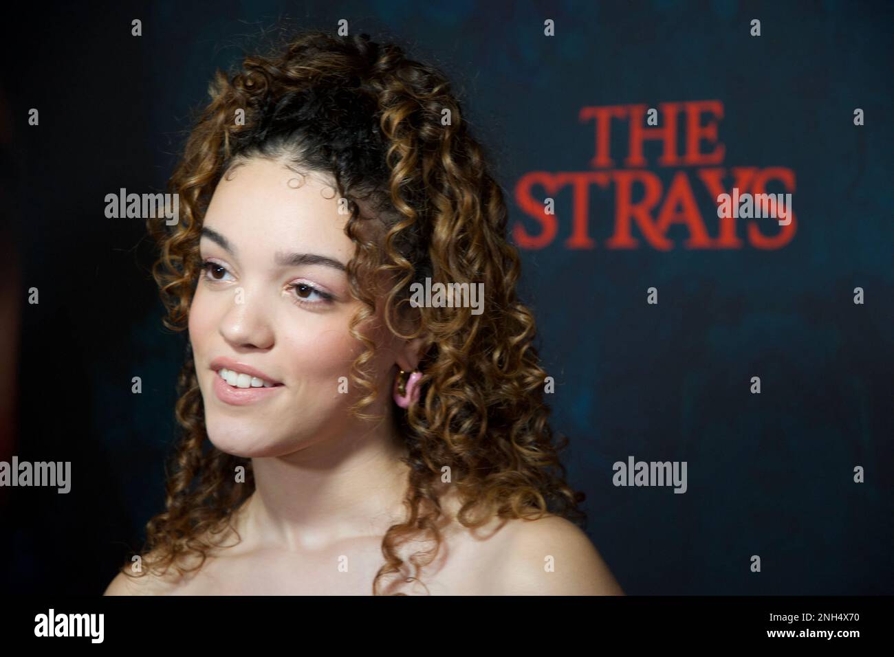 London, UK. 20th Feb, 2023. London, UK. Maria Almeida. "The Strays ...