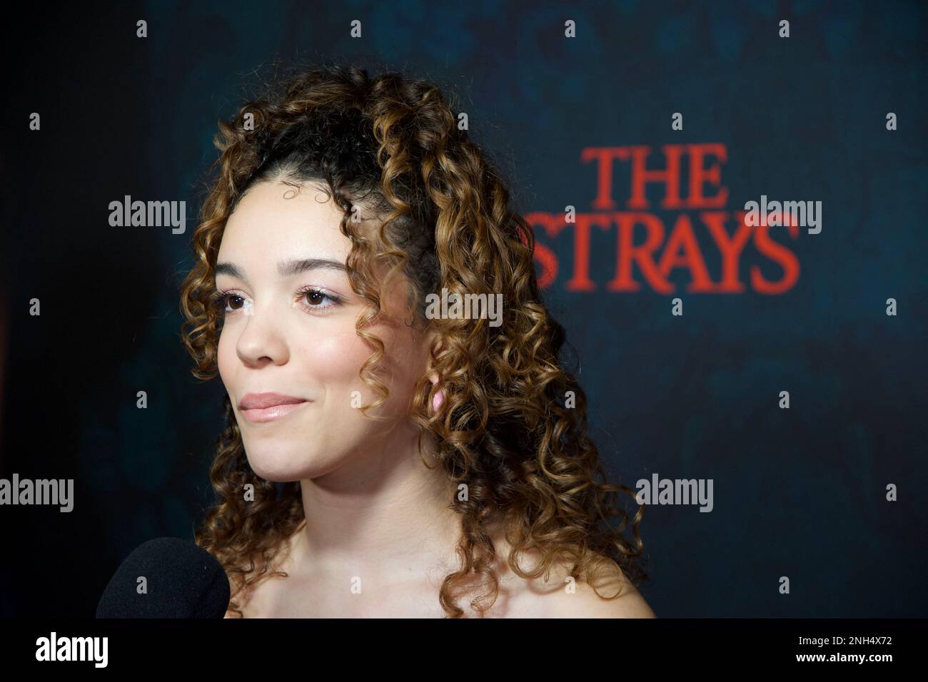 London, UK. 20th Feb, 2023. London, UK. Maria Almeida. "The Strays ...