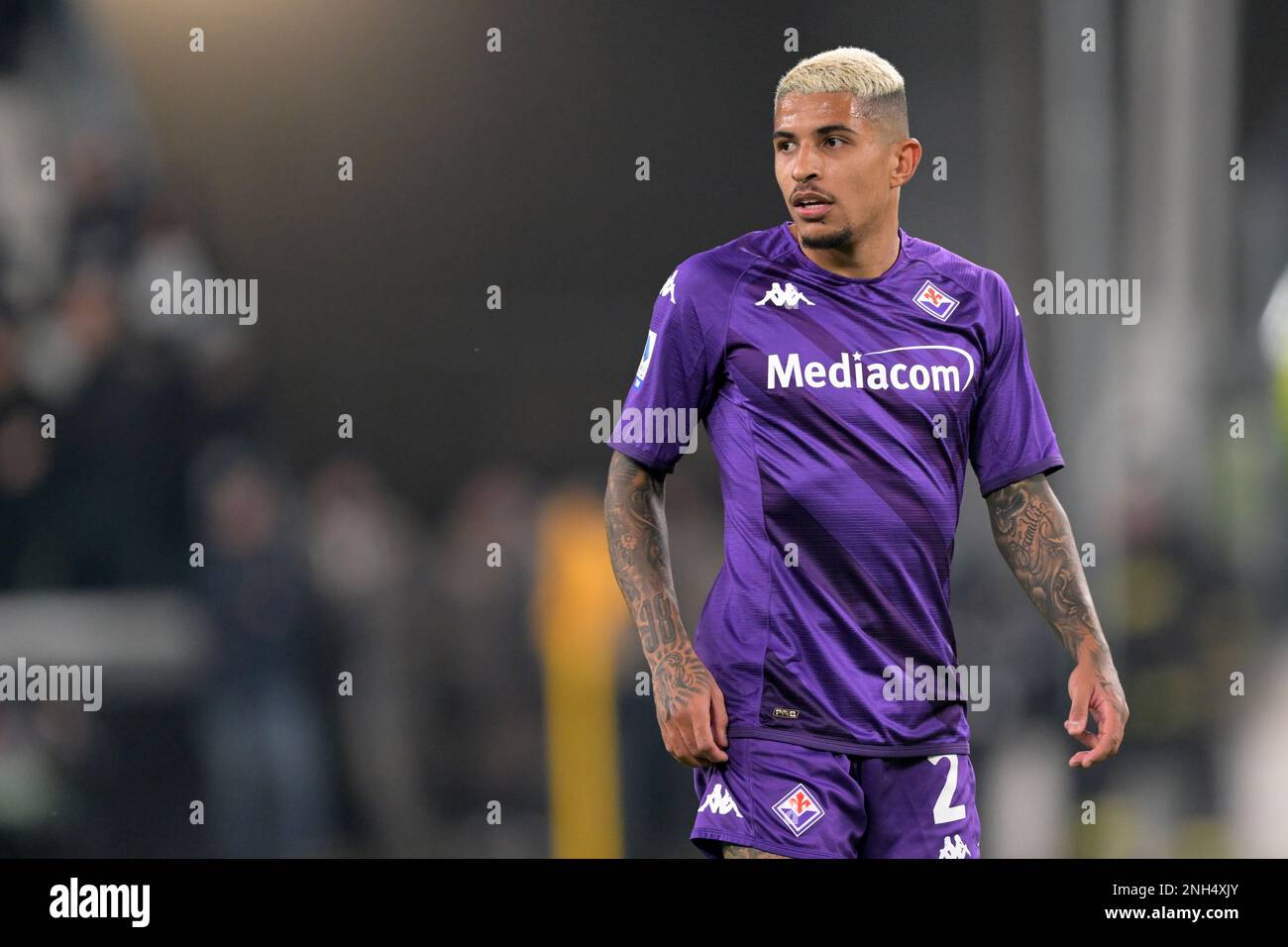Juventus dodo hi-res stock photography and images - Alamy