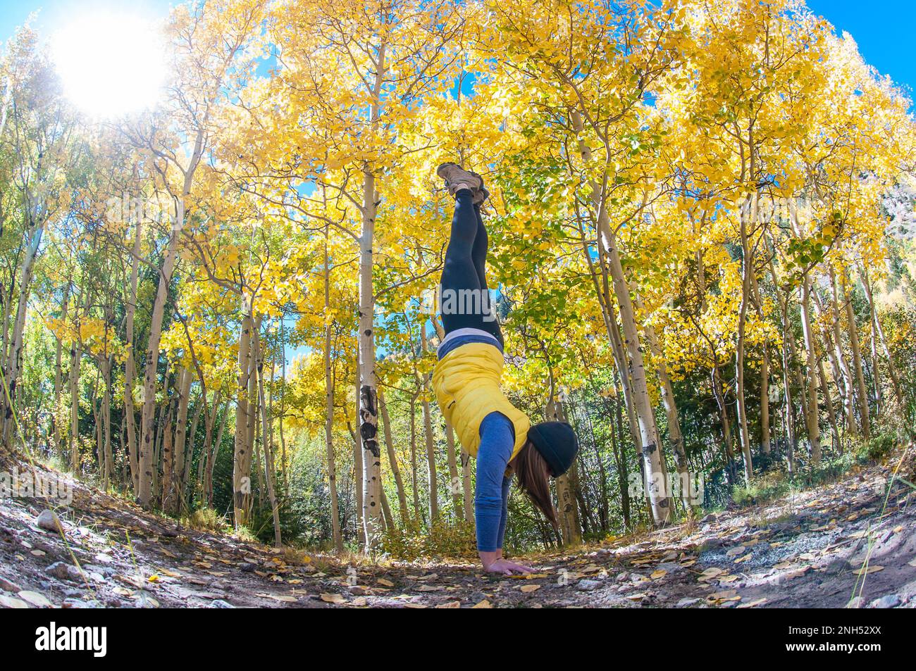 Woman doing yoga in forest at mountain hi-res stock photography and ...
