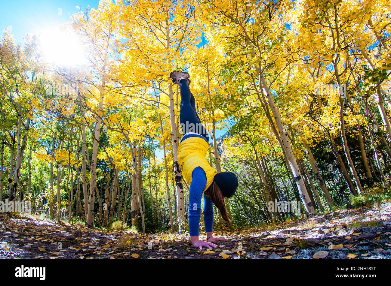 Young women doing yoga in the forest Stock Photo - Alamy