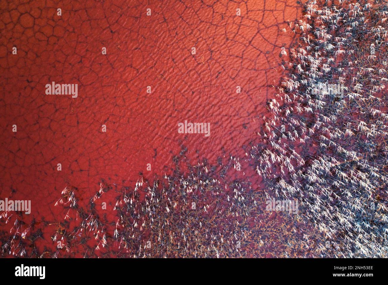 vast titanium mine with tailing ponds filled with technical fluids used ...