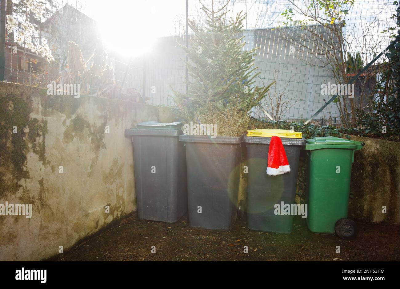 Trashed christmas tree hi-res stock photography and images - Alamy