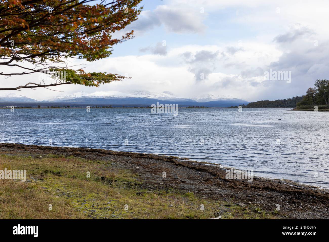 RESERVA PROVINCIAL LAGUNA NEGRA at Fagnano Lake near Tolhuin, Argentina ...