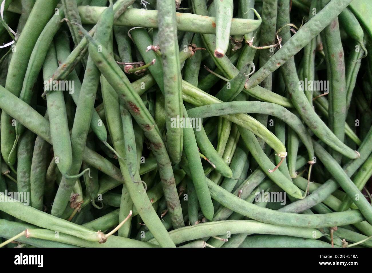 Close-up on a stack of green beans on a market stall Stock Photo - Alamy