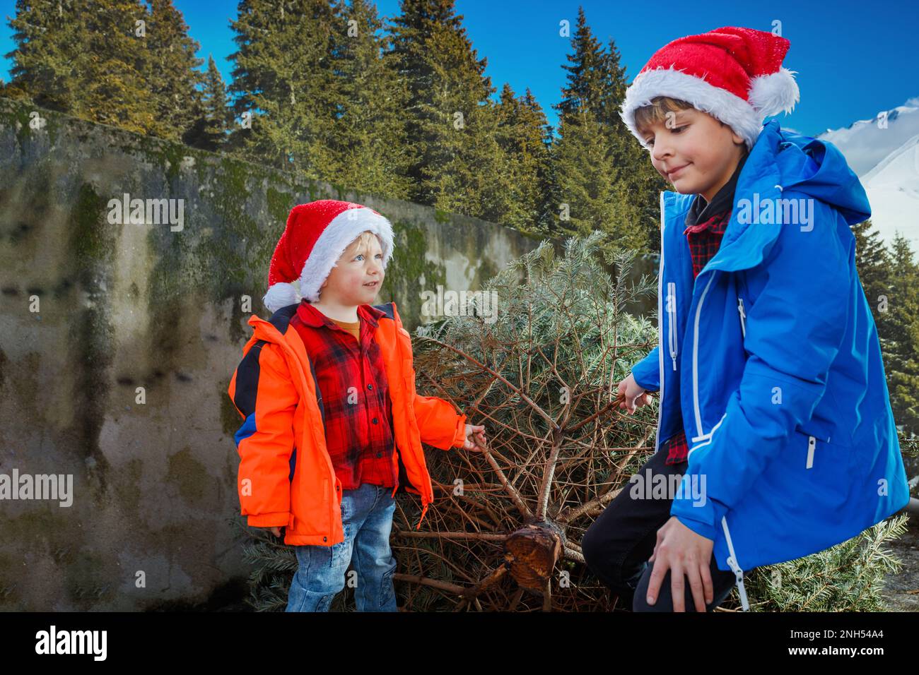 Pulling tree trunk hi-res stock photography and images - Alamy