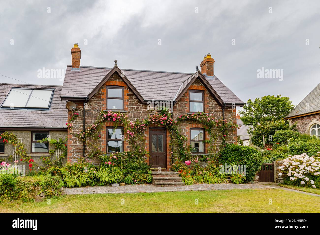 Large local style detached house with pink roses round the front door ...