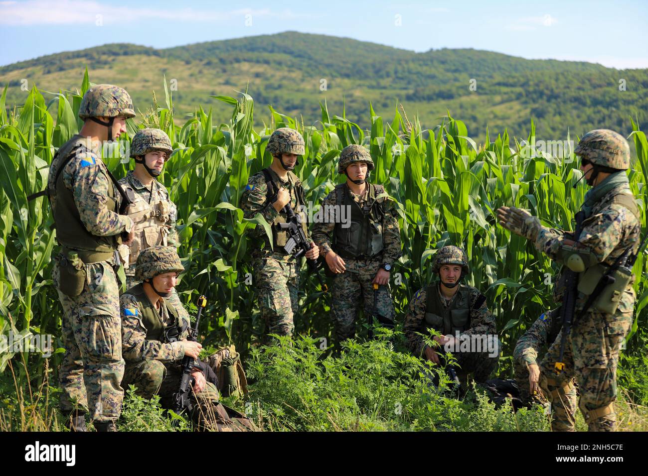 Service members in the Armed Forces of Bosnia and Herzegovina train in ...