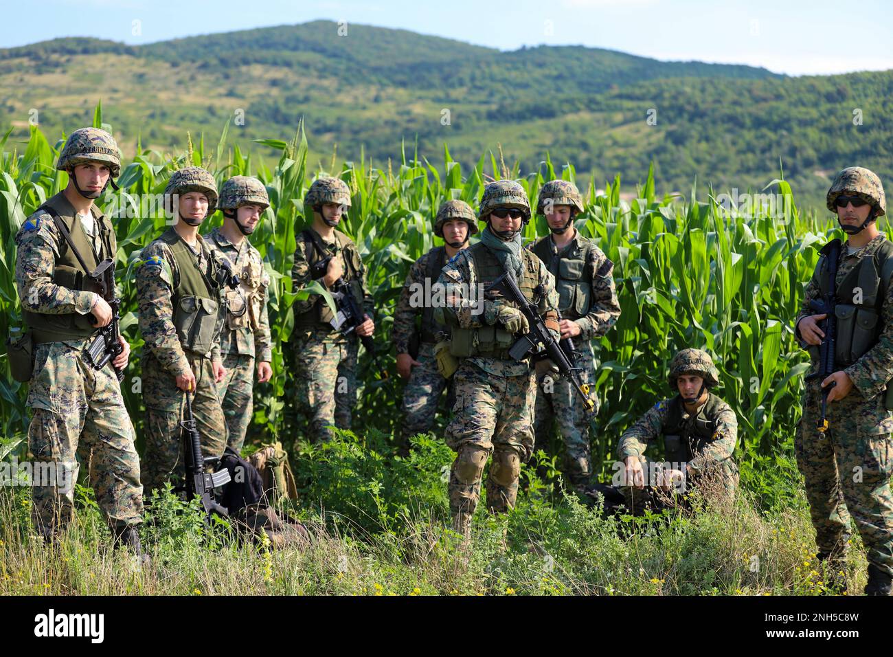 Service members in the Armed Forces of Bosnia and Herzegovina train in ...