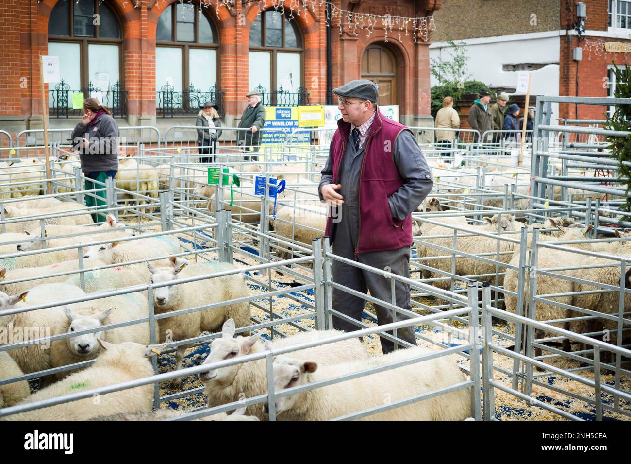 Livestock auction uk december hi-res stock photography and images - Alamy