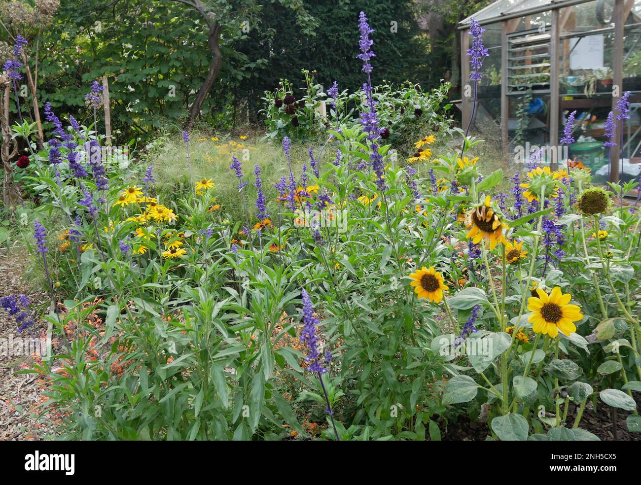 Red house philip webb hi-res stock photography and images - Alamy