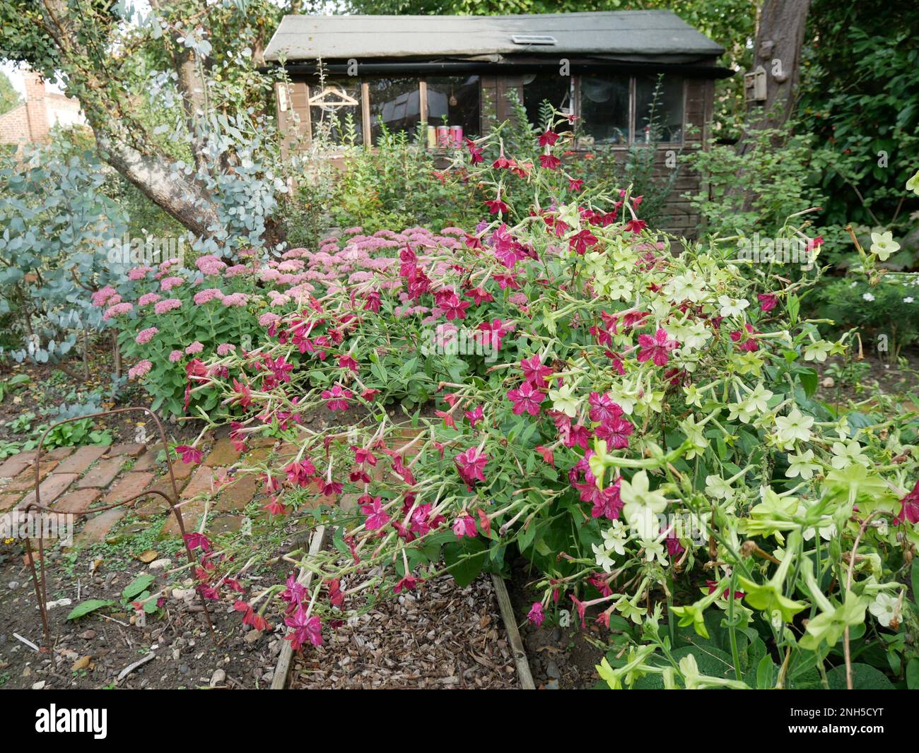 Red House, Bexleyheath, Kent, England Stock Photo - Alamy