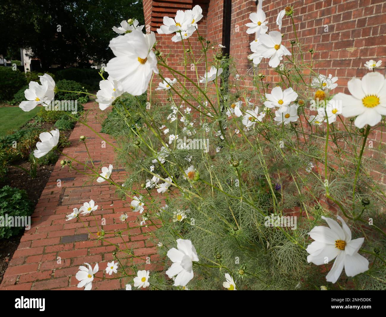 The red house bexleyheath hi-res stock photography and images - Alamy