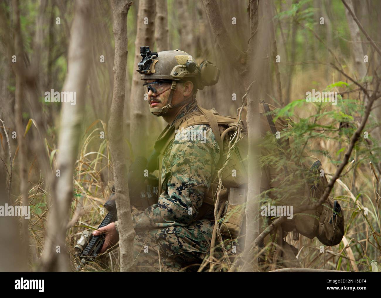 Kent bellows hi-res stock photography and images - Alamy
