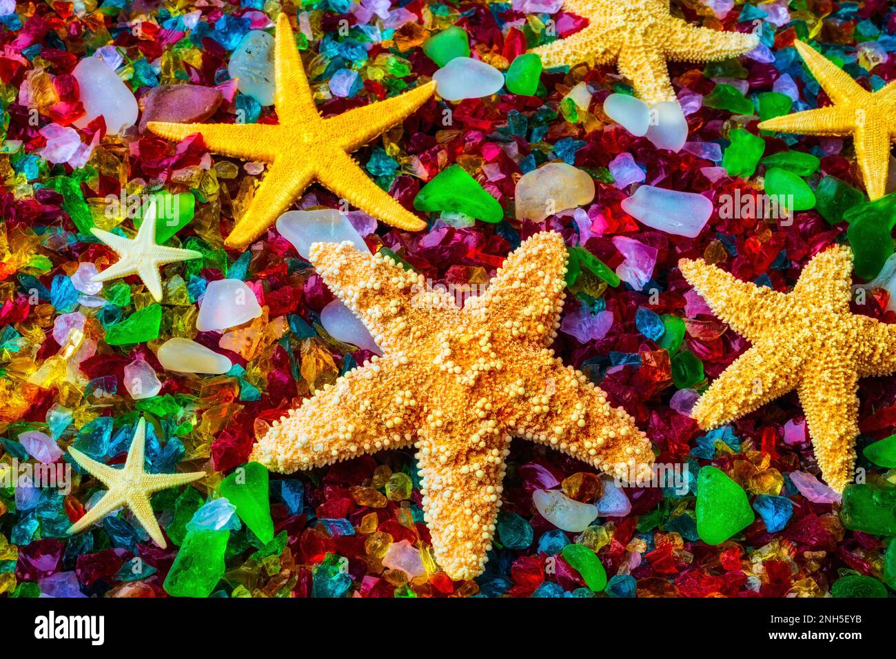 Starfish On Colorful Bits Of Broken Sea Glass Worn Smooth By The Ocean ...