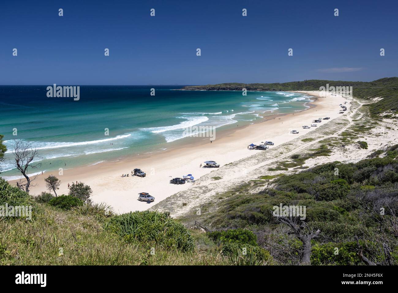 Seal rocks australia hi-res stock photography and images - Alamy