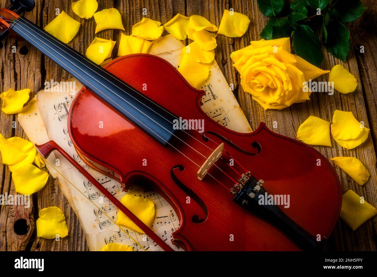 Violin And Yellow Roses Stock Photo - Alamy