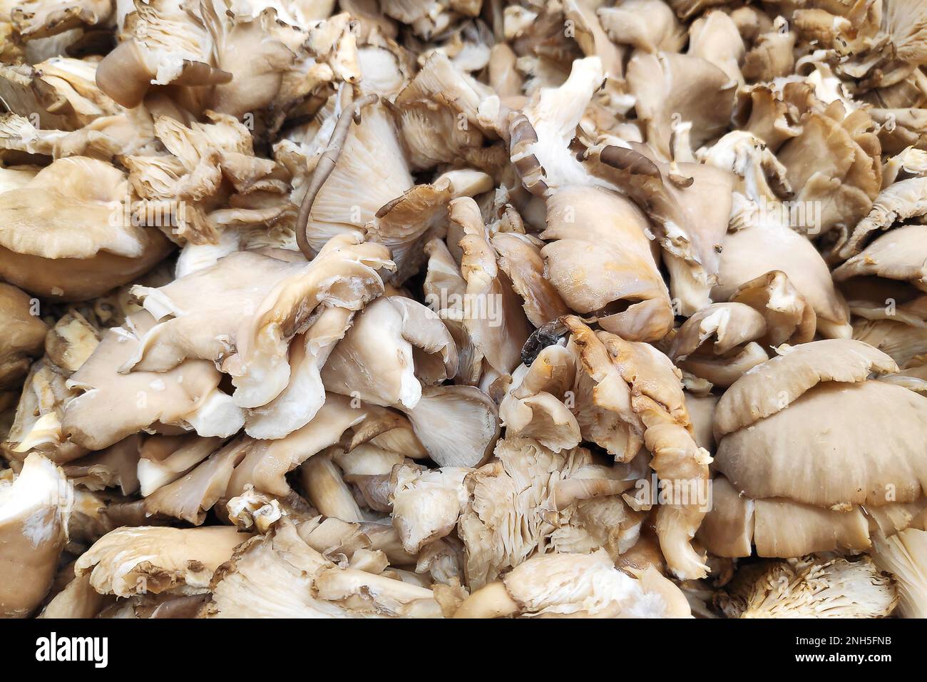 Merchants stall hi-res stock photography and images - Alamy