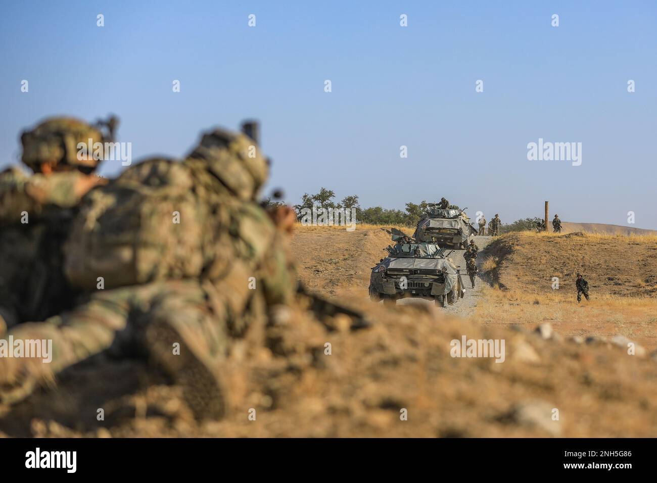 294th infantry hi-res stock photography and images - Alamy