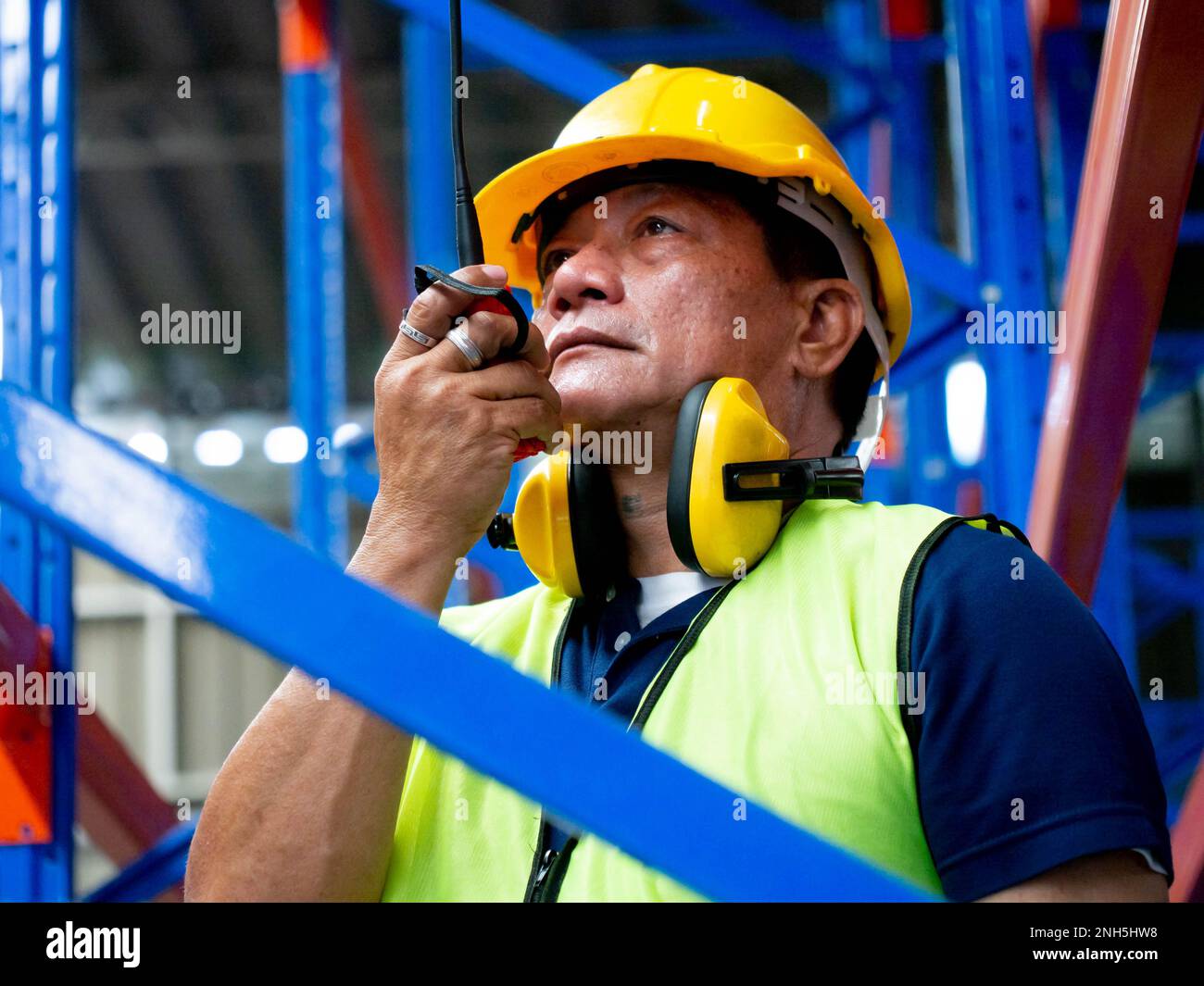 Foreman male business person people young adult yellow hardhat helmet ...