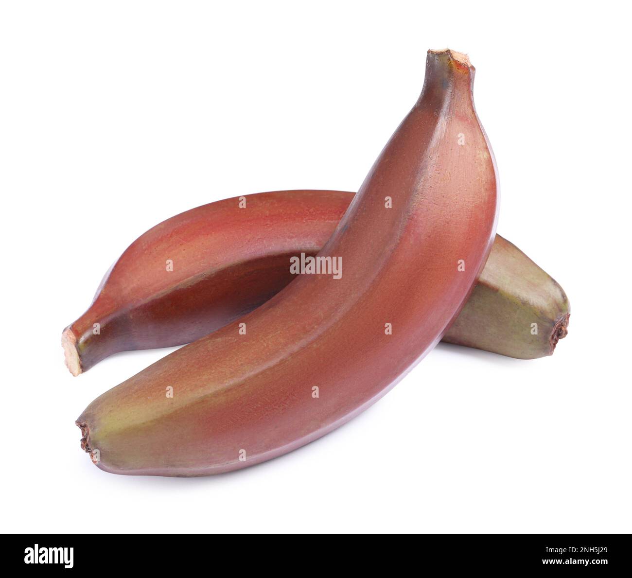 Tasty red baby bananas on white background Stock Photo - Alamy