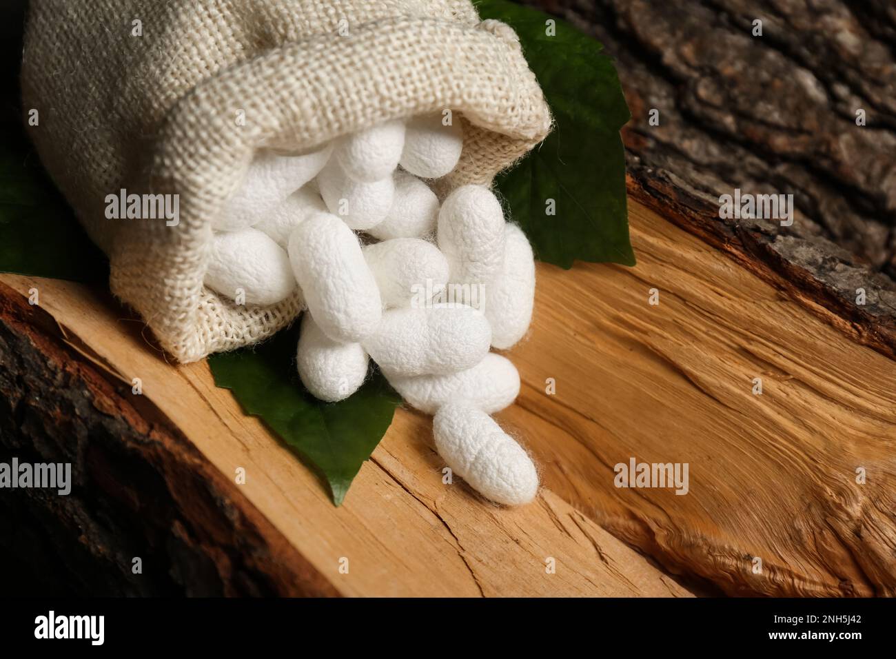 Mulberry bag on white hi-res stock photography and images - Alamy