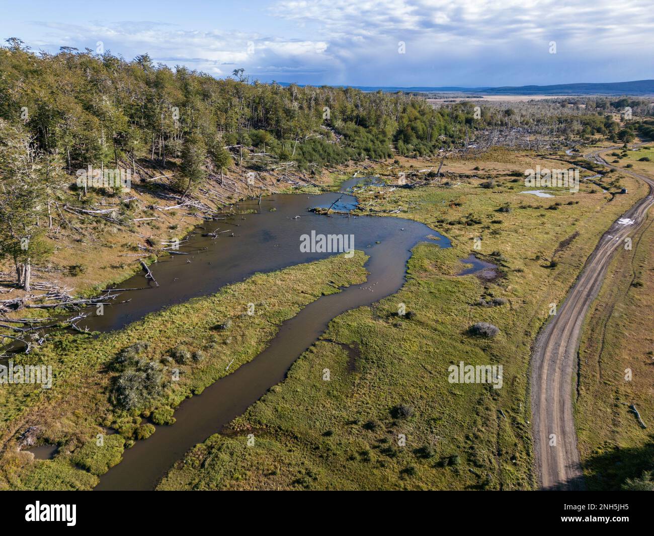 Aerial view of a beaver habitat in Reserva Lago Yeguin on the island ...