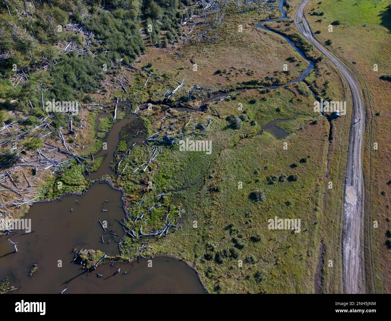 Aerial view of a beaver habitat in Reserva Lago Yeguin on the island ...