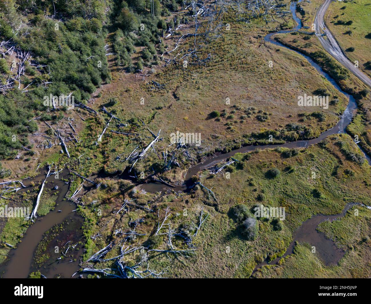 Aerial view of a beaver habitat in Reserva Lago Yeguin on the island ...