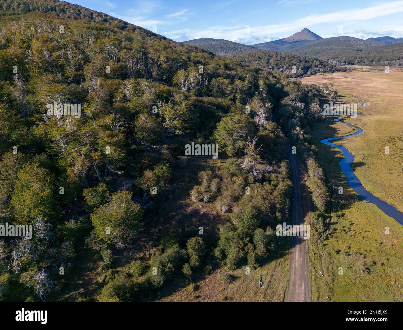 Aerial view of a beaver habitat in Reserva Lago Yeguin on the island ...