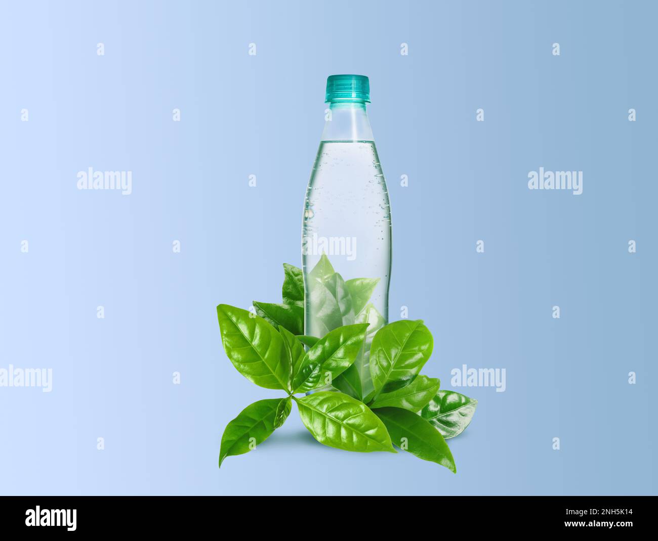Bottle made of biodegradable plastic and green leaves on light blue ...