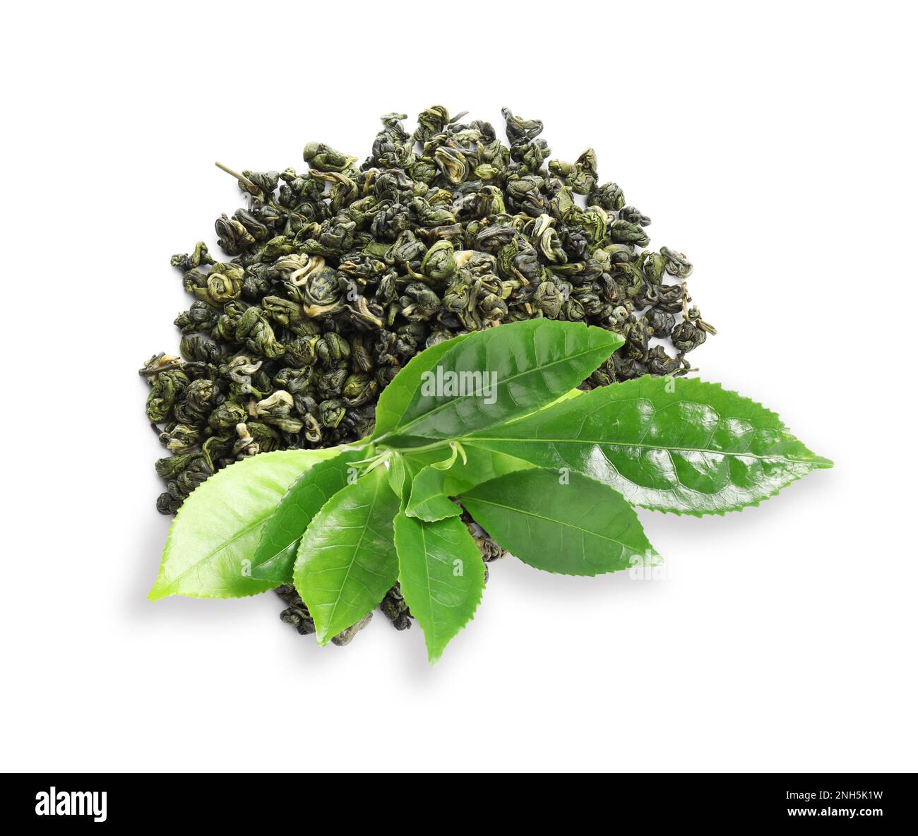 Dry green tea and fresh leaves on white background, top view Stock ...