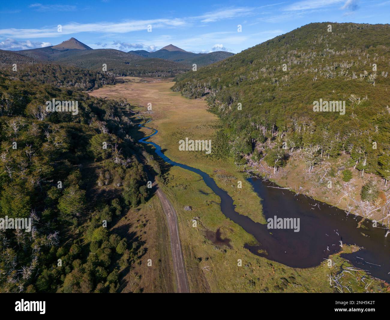 Aerial view of a beaver habitat in Reserva Lago Yeguin on the island ...