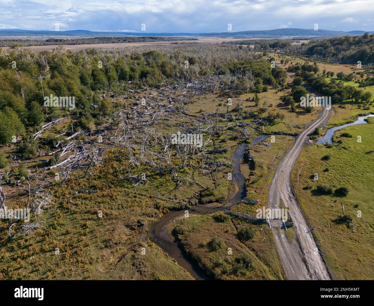 Aerial view of a beaver habitat in Reserva Lago Yeguin on the island ...