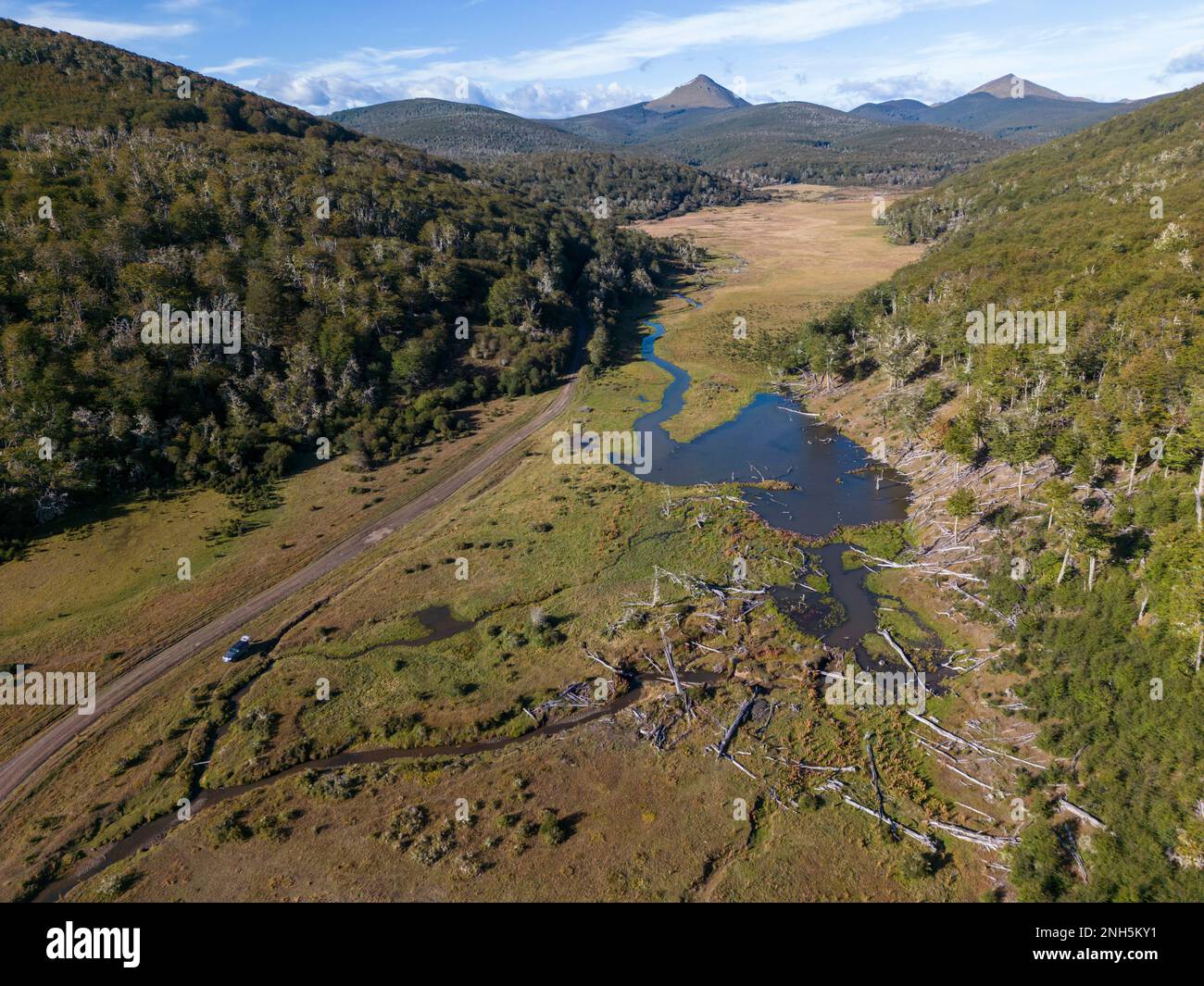 Aerial view of a beaver habitat in Reserva Lago Yeguin on the island ...