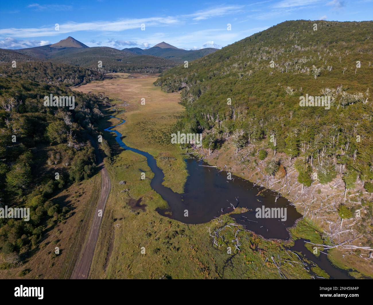 Aerial view of a beaver habitat in Reserva Lago Yeguin on the island ...