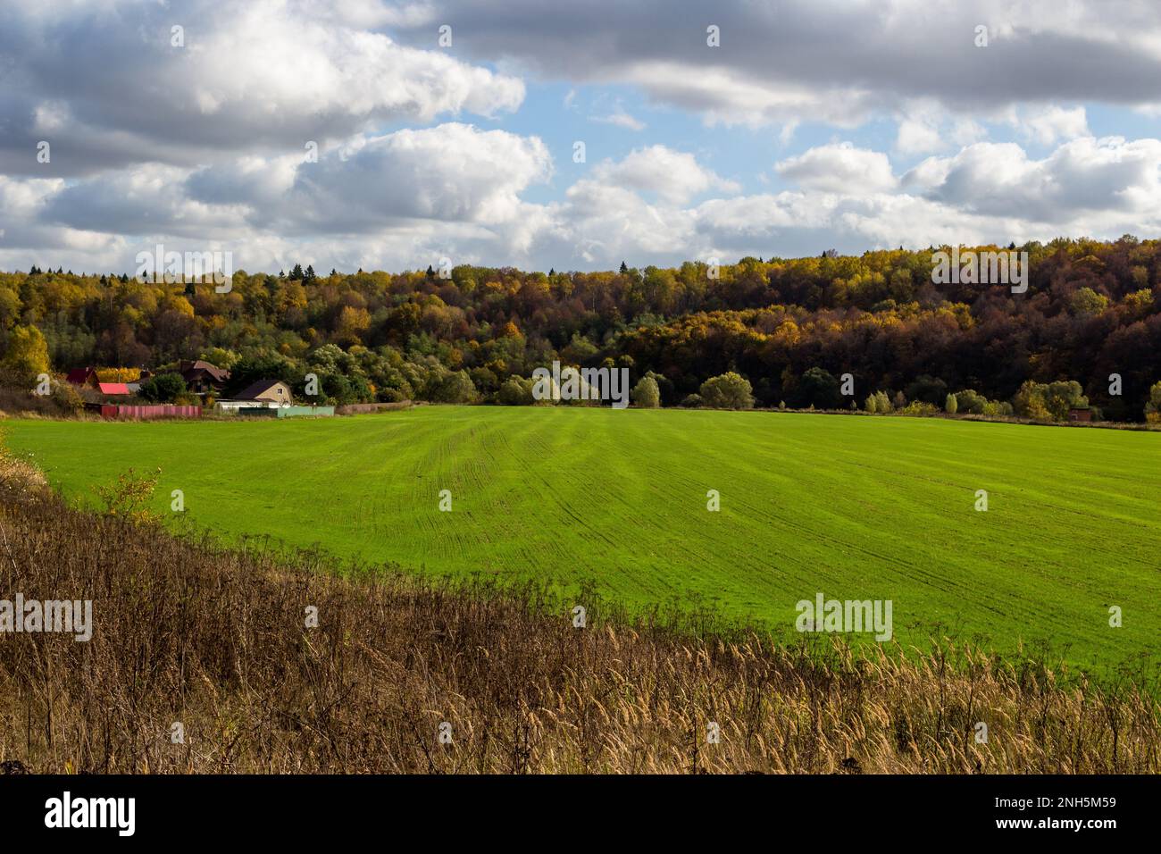 In lush field on outskirts hi-res stock photography and images - Alamy