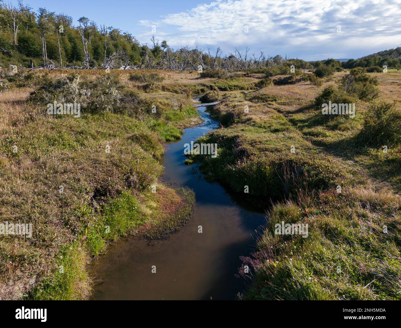 Landscape of a beaver habitat in Reserva Lago Yeguin on the island ...