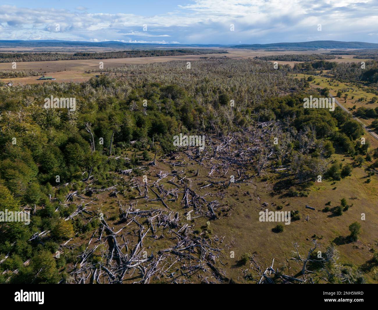 Aerial view of a beaver habitat in Reserva Lago Yeguin on the island ...