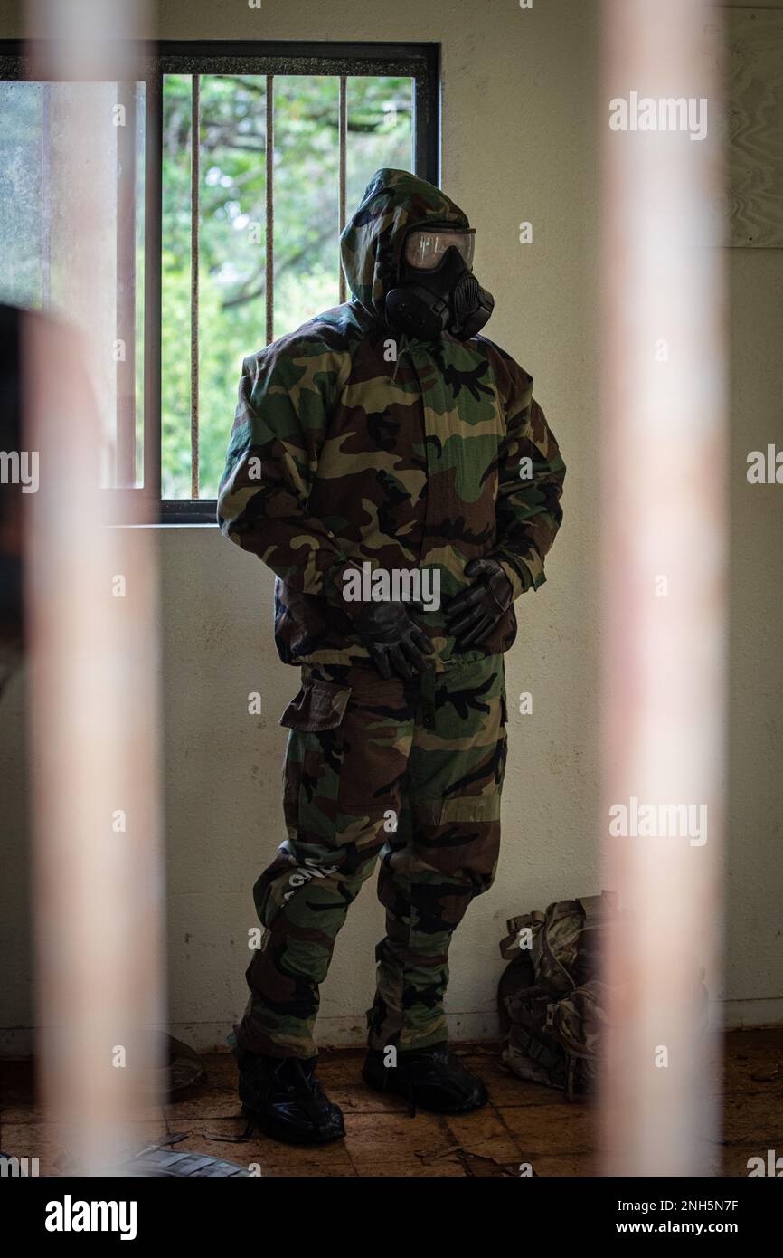 Squad assigned to 3rd Battalion, 7th Artillery Regiment, 25th Infantry ...