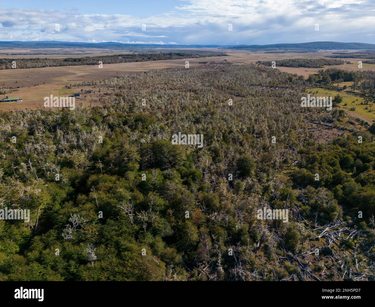 Aerial view of a beaver habitat in Reserva Lago Yeguin on the island ...