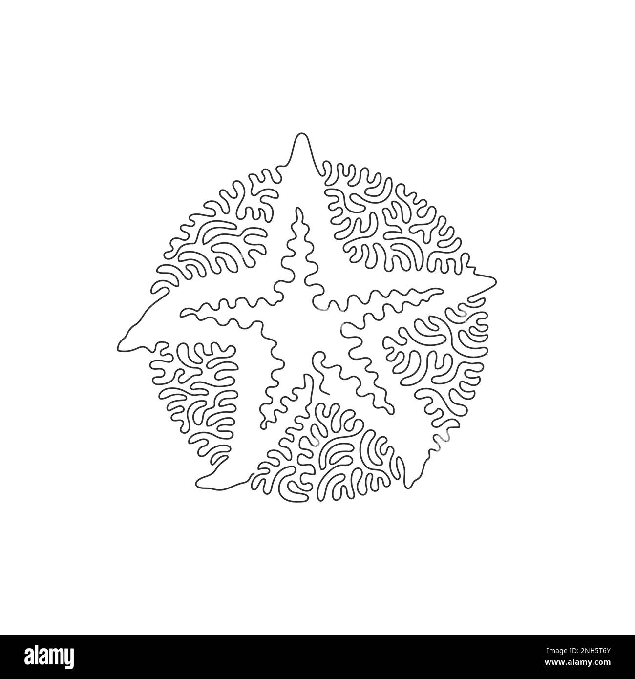Line drawing vector starfish hi-res stock photography and images - Alamy