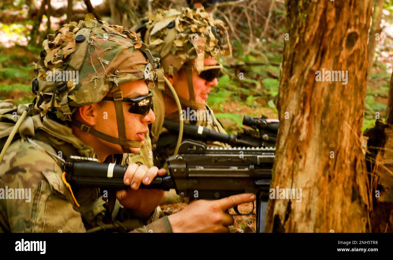 U.S. Army Soldiers assigned to Charlie Company, 1st Battalion, 181st ...
