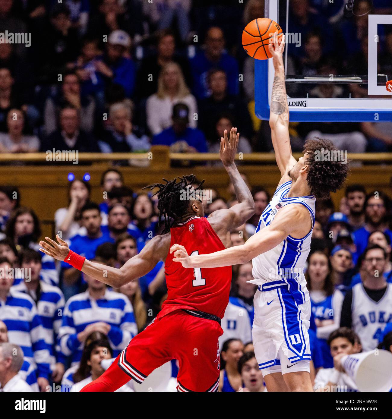 20230220 hi-res stock photography and images - Alamy