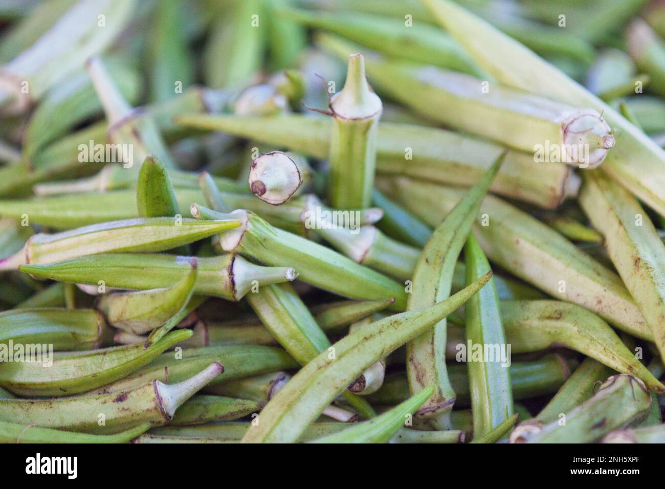 Close-up on a stack of okras for sale on a market stall Stock Photo - Alamy