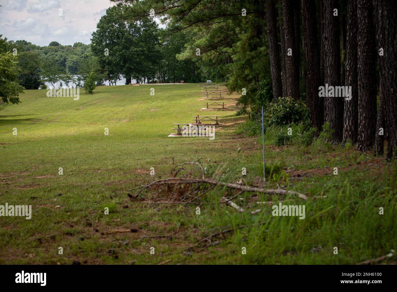 Pavilions and picnic tables line the Maple Area at Lunga Recreation ...